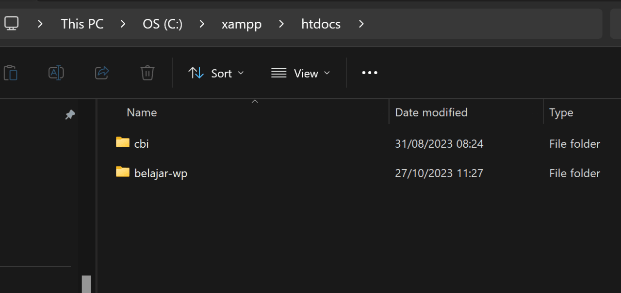 Panduan Lengkap Cara Instal Wordpress Di Xampp